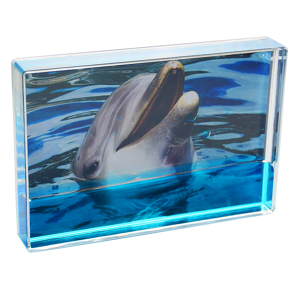 Liquid Photo Frame - handvivo.com:Liquid Timer for Sensory Toys ...